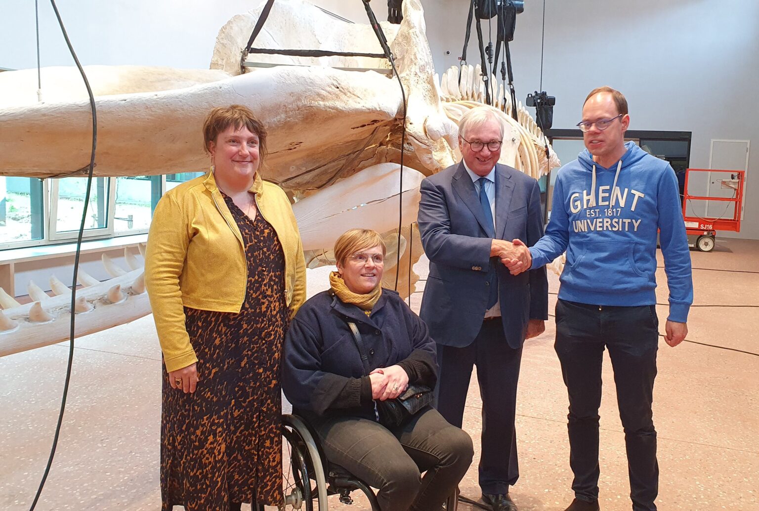 Hij is er en hij hangt er in Oostduinkerke: de potvis Valentijn van ...