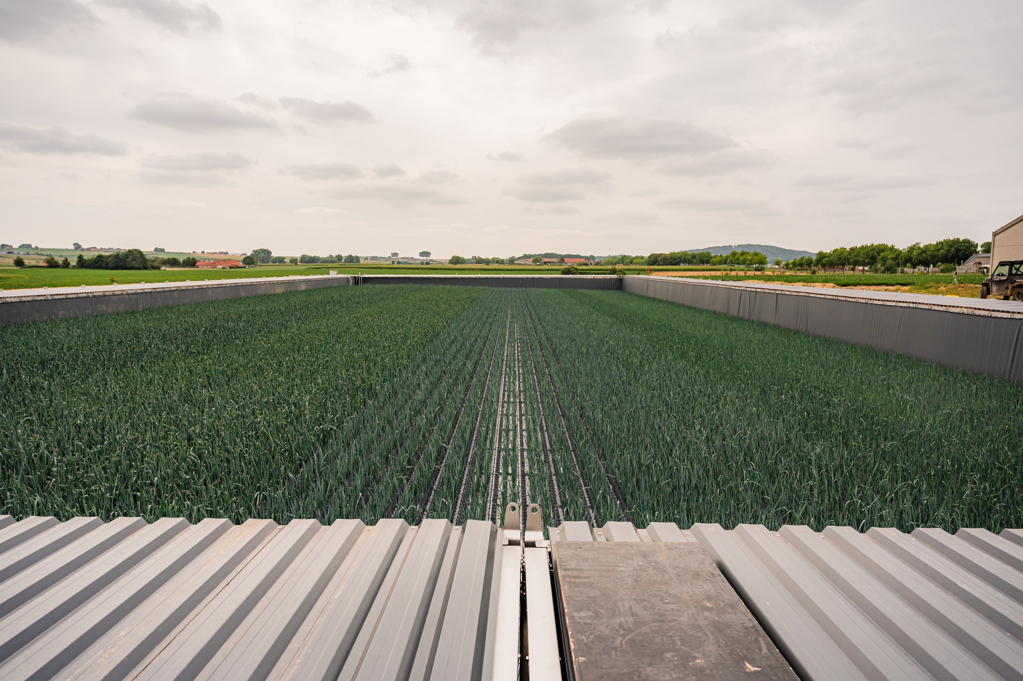 Iepers bedrijf start met wereldprimeur: productiebassin van 3000 m2 ...