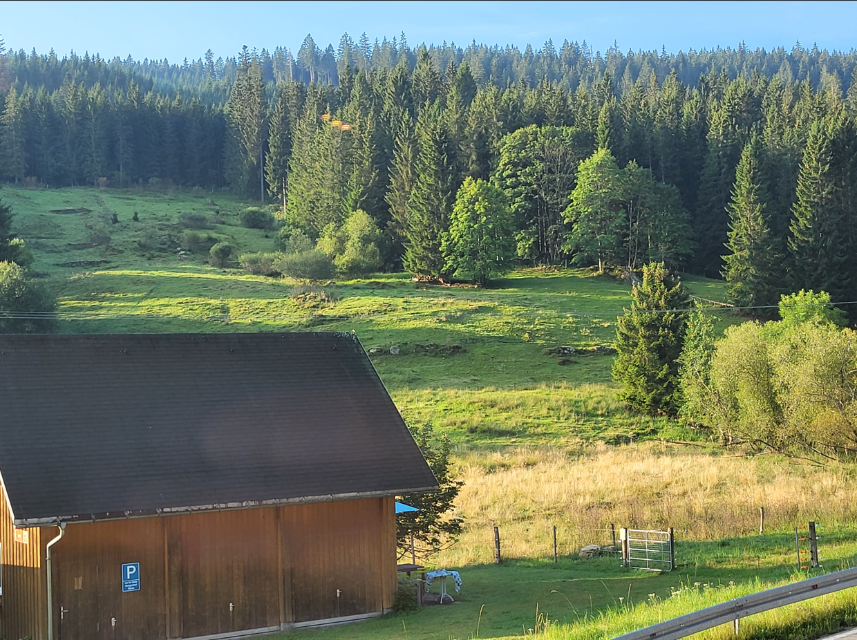 Tips4Trips. Een time-out in het Zwarte Woud bij Vlamingen Bjorn en Cindy van Haus Cindy - Het ...